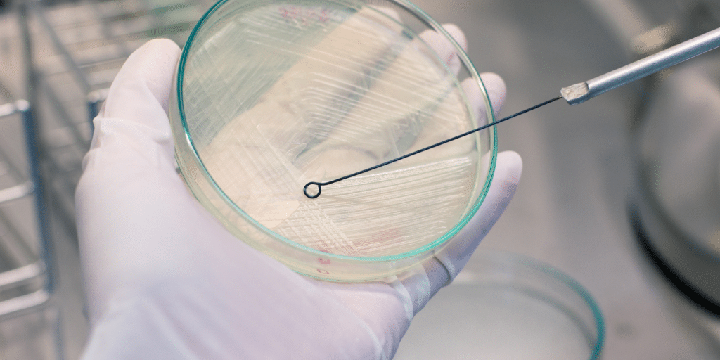 Our Anti-Microbial Range Extends - Merlin Architectural